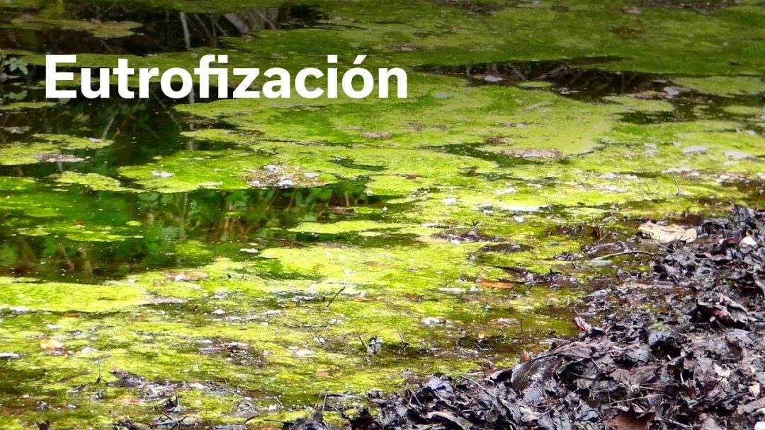 What is DBO and COD? - Water Analysis - Aquanova